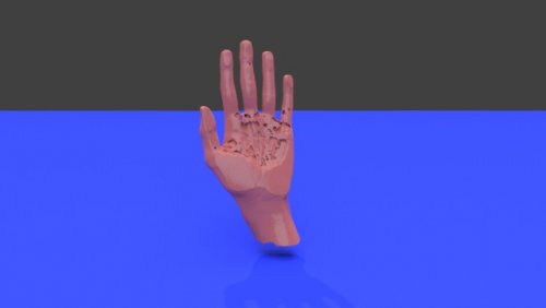 CT hand SE000002 2 - stl file processed - Extremity, Upper (Arm ...