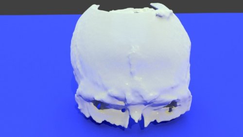 Brandon's CT scan (!) - stl file processed - Skull and Face - embodi3D.com