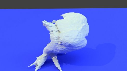 Model of human heart with patent ductus arteriosus (PDA) generated from ...