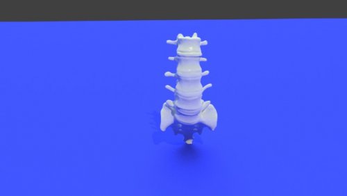 SPINE CT SCAN - stl file processed - Spine and Pelvis - embodi3D.com
