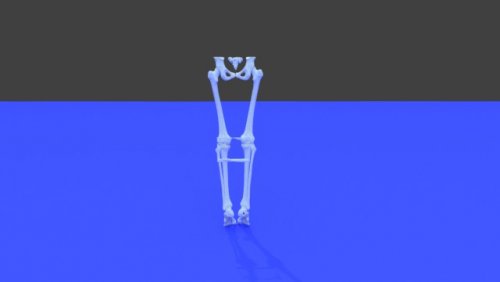 Lower Extremity Bones - stl file processed - Extremity, Lower (Leg ...