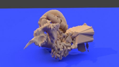 Ear Scan From ENT - stl file processed - Skull and Face - embodi3D.com