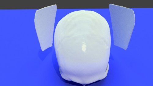 BONE_AX_HEAD - stl file processed - Skull, Head, and Neck CTs ...