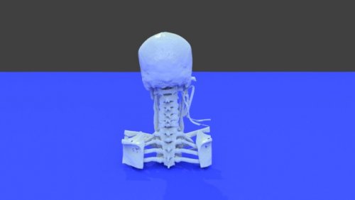 mandible - stl file processed - Skull and Face - embodi3D.com