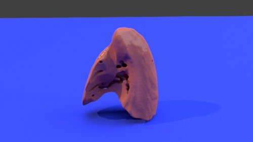 phantom test 3 - stl file processed - Lungs - embodi3D.com