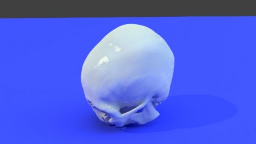 practice - stl file processed - Skull and Face - embodi3D.com
