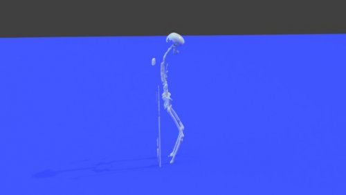 whole body - stl file processed - Whole body - embodi3D.com