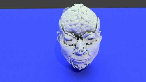 Moms Brain - stl file processed - Brain - embodi3D.com