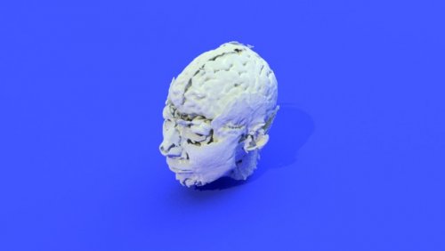 Moms Brain - stl file processed - Brain - embodi3D.com