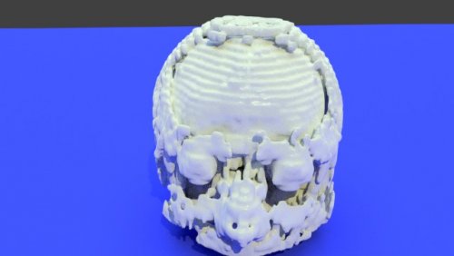 test head - stl file processed - Brain - embodi3D.com