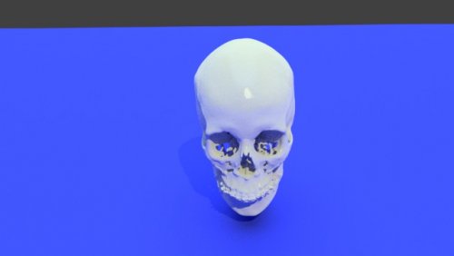 Head Scan - stl file processed - Skull and Face - embodi3D.com