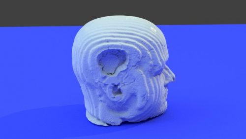 Brain Scan - stl file processed - Skin - embodi3D.com