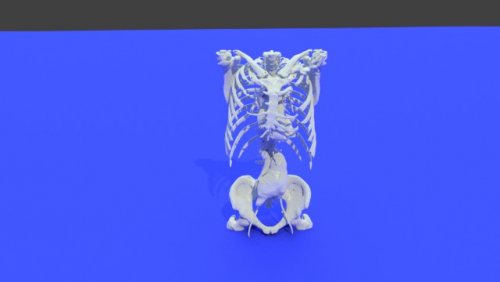 test - stl file processed - democratiz3D® Processing - embodi3D.com