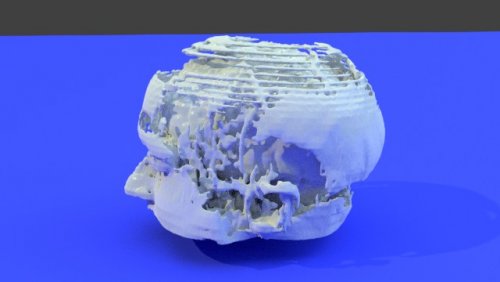 Brain Scan - stl file processed - Skin - embodi3D.com