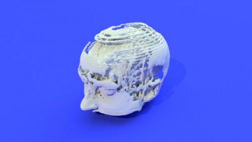 Brain Scan - stl file processed - Skin - embodi3D.com