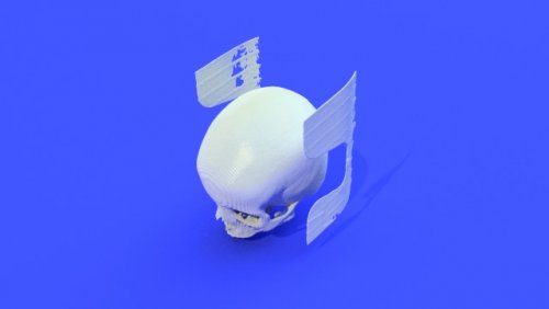 Aubrey Ct All Nrrd Files Stl File Processed Skull And Face