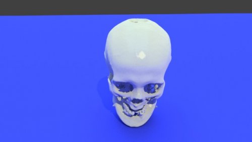 CTA head for video tutorial - stl file processed - Skull and Face ...