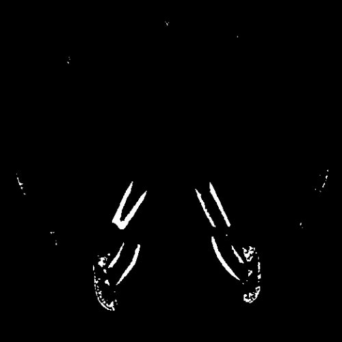 2 Toed Sloth - Veterinary scans - embodi3D.com