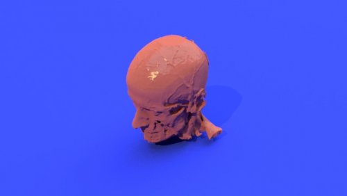 Head - stl file processed - Head and neck muscles - embodi3D.com