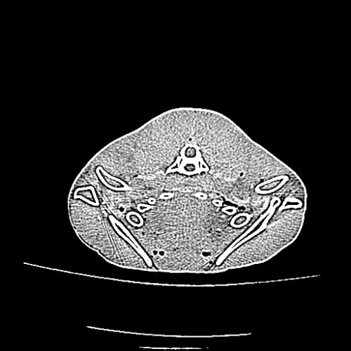 SharkCt - Veterinary scans - embodi3D.com