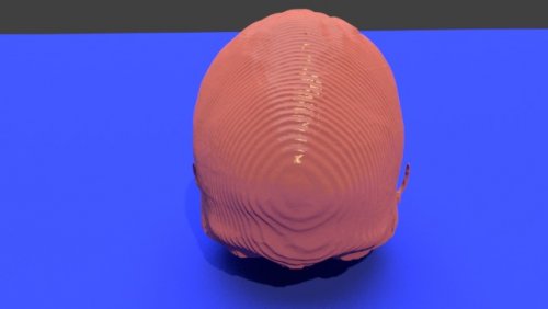 609 COR HEAD 30x30 - stl file processed - Brain - embodi3D.com