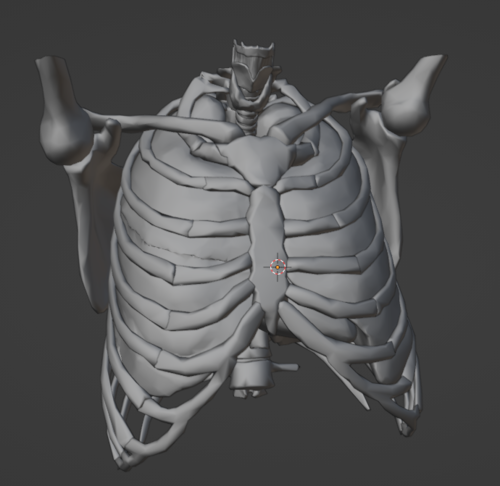 3d model of heart in thorax - Heart - embodi3D.com