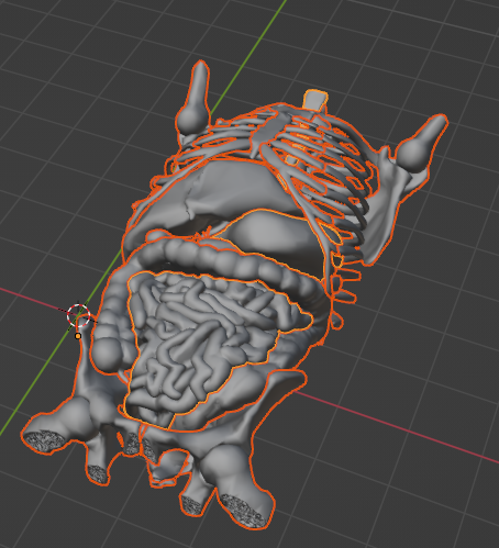 3d model of gastrointestinal tract with bones - Other organs - embodi3D.com