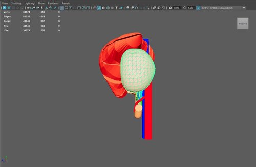 3D Model of Liver Anatomy (with segments) - Liver - embodi3D.com