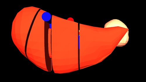 3D Model of Liver Anatomy (with segments) - Liver - embodi3D.com