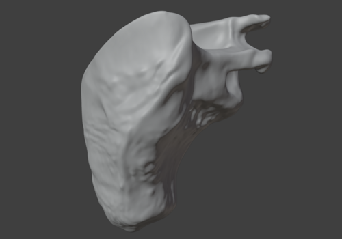 3D Scapula Bone Model - Extremity, Upper (Arm) - embodi3D.com