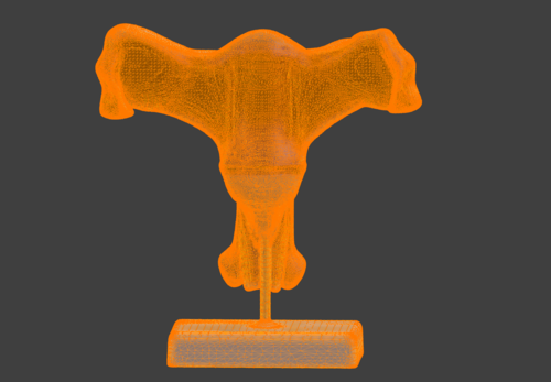 3D Female Genital Organs Model - Other organs - embodi3D.com