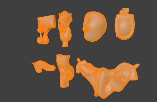 3D Complete Endocrine Gland Set Anatomy Model - Other organs - embodi3D.com