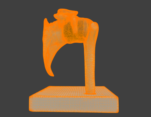 3D Joint Anatomy Model with Stand - Spine and Pelvis - embodi3D.com