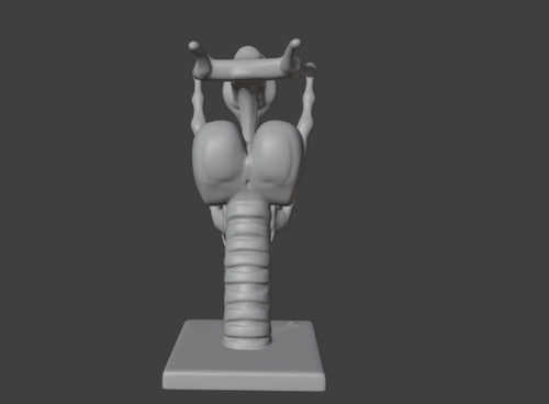 3D Model of Human Larynx Anatomy with Stand - Other organs - embodi3D.com