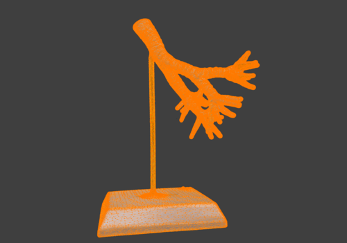 3D Model of Trachea and Bronchi with Stand - Other organs - embodi3D.com