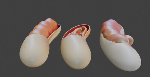 3D Model of Mitochondria Anatomy - Other organs - embodi3D.com