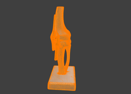 3D Joint Anatomy Model with Stand - lower leg - Extremity, Lower (Leg ...