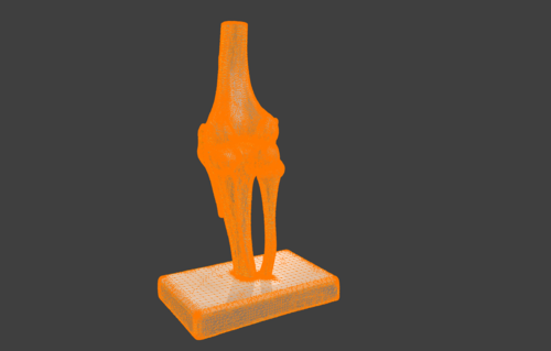 3D Joint Anatomy Model with Stand - lower leg - Extremity, Lower (Leg ...