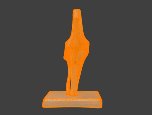 3D Joint Anatomy Model with Stand - lower leg - Extremity, Lower (Leg ...