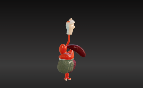 3D Model of Human Digestive System - Other organs - embodi3D.com