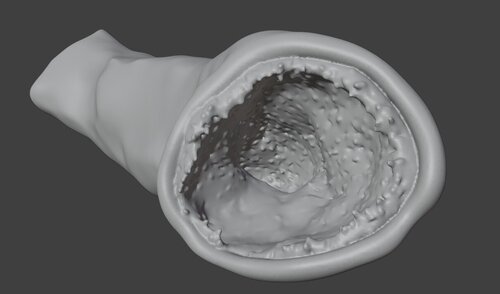 3D Model of Intestinal Microvilli Anatomy - Other organs - embodi3D.com