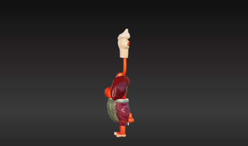 3D Model of Human Digestive System - Other organs - embodi3D.com