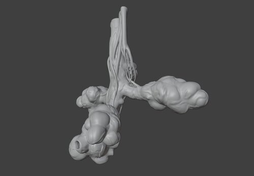 3D Model of Realistic Human Bronchi Alveoli Anatomy - Other organs ...