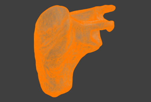 3D Scapula Bone Model - Extremity, Upper (Arm) - embodi3D.com