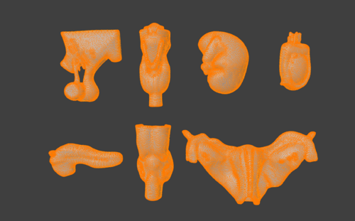 3D Complete Endocrine Gland Set Anatomy Model - Other organs - embodi3D.com